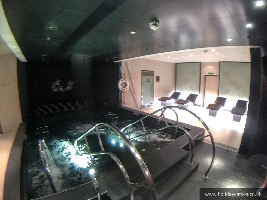 Royal Princess Cruise ship Tour - Cruise Monkeys